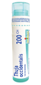 Boiron Thuja occidentalis® – Quantum Health Whistler